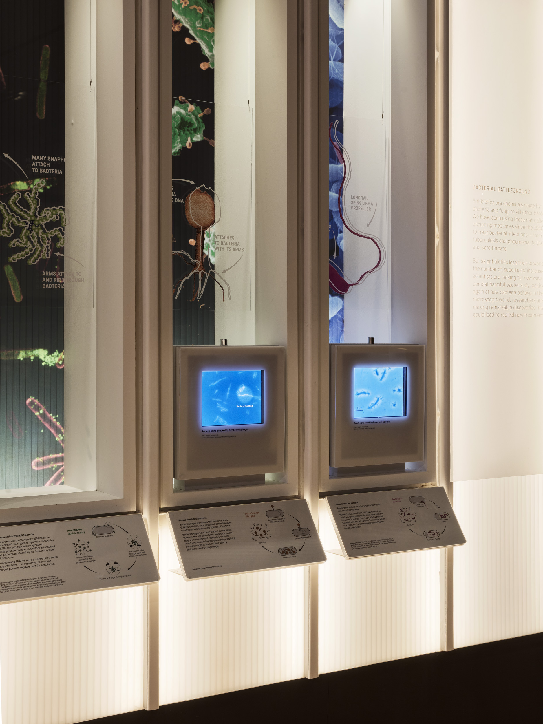 Michael Grubb Studio - Superbugs, Science Museum, London